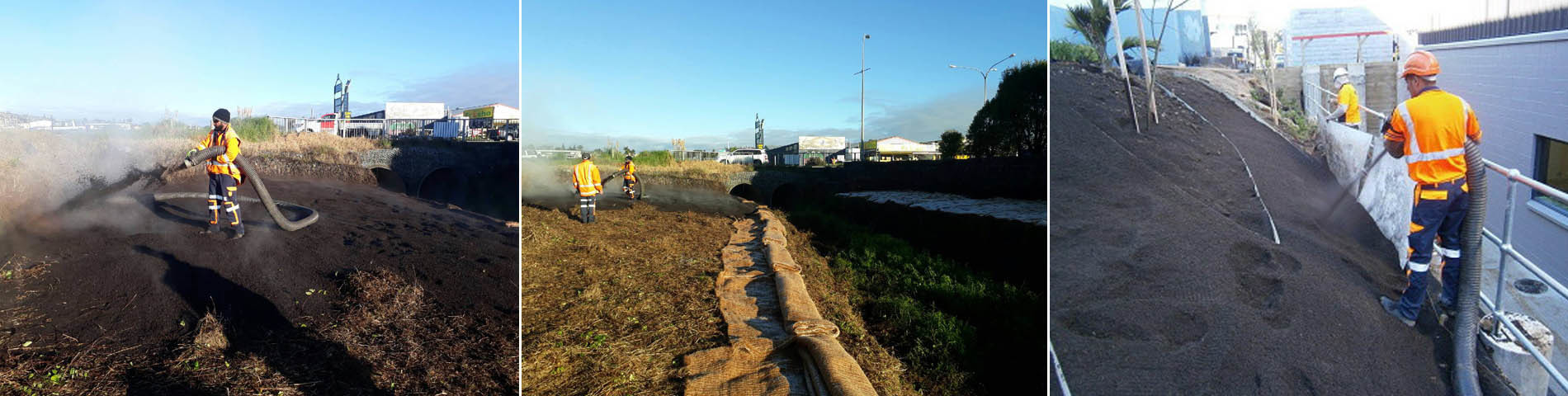 Grass Seed Installation Auckland, Hamilton, Rotorua, Taupo