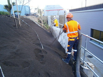 Grass Seed Installation Auckland, Hamilton, Rotorua, Taupo